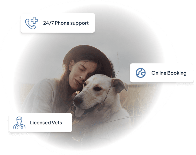 How Clinics Can Work with CodaPet - CodaPet